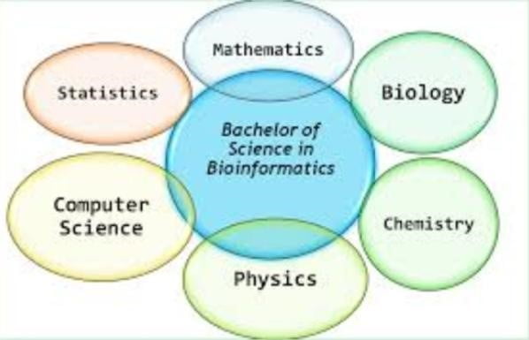 Best Bachelor of Science Degrees in Elementary Education – Latest News ...